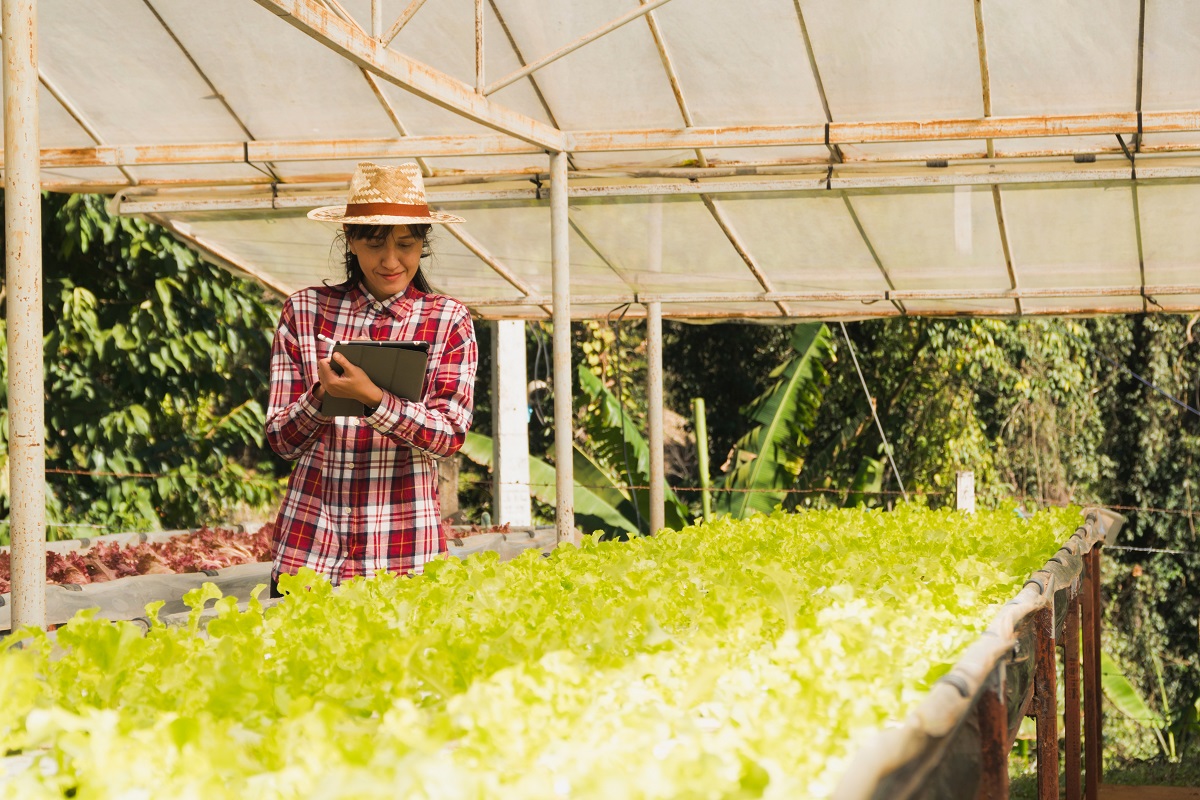 A Guide on Streamlining Agricultural Operations - Impermanence at Work